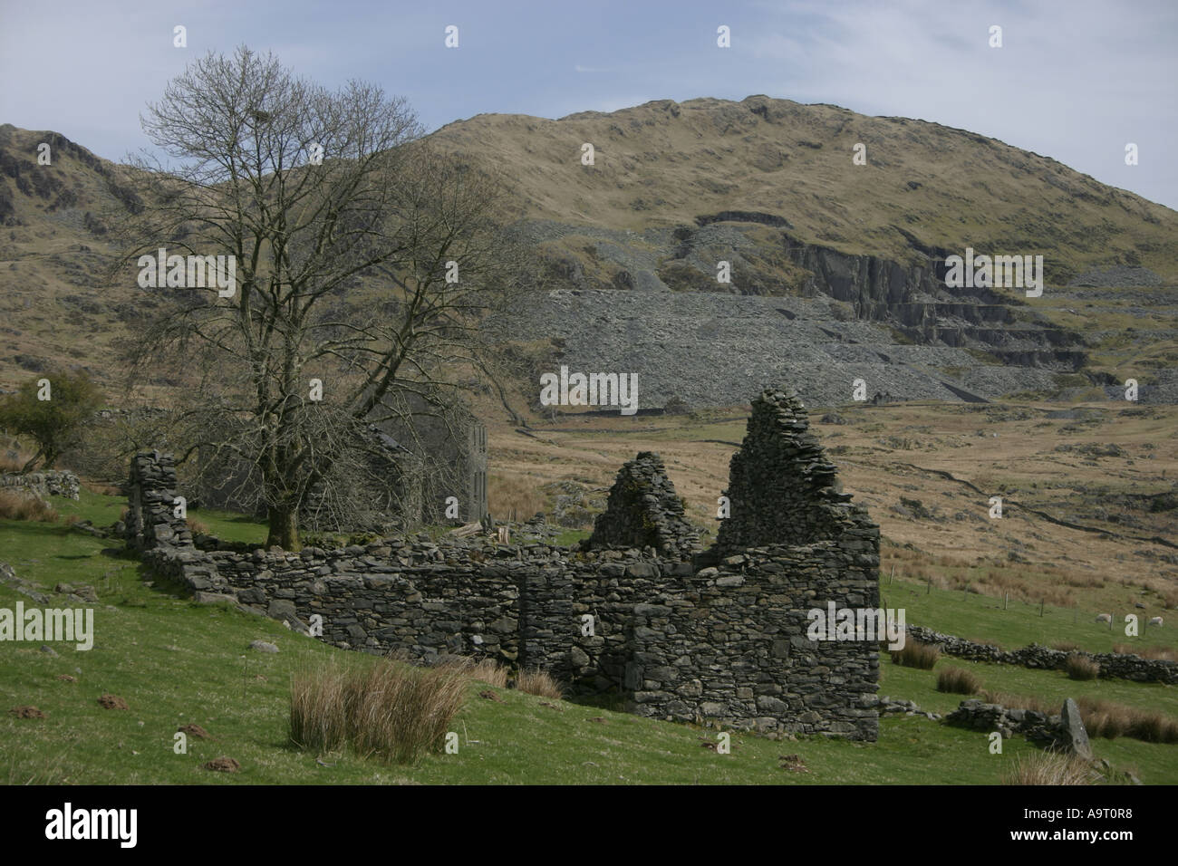 Moel y llyn hi-res stock photography and images - Alamy