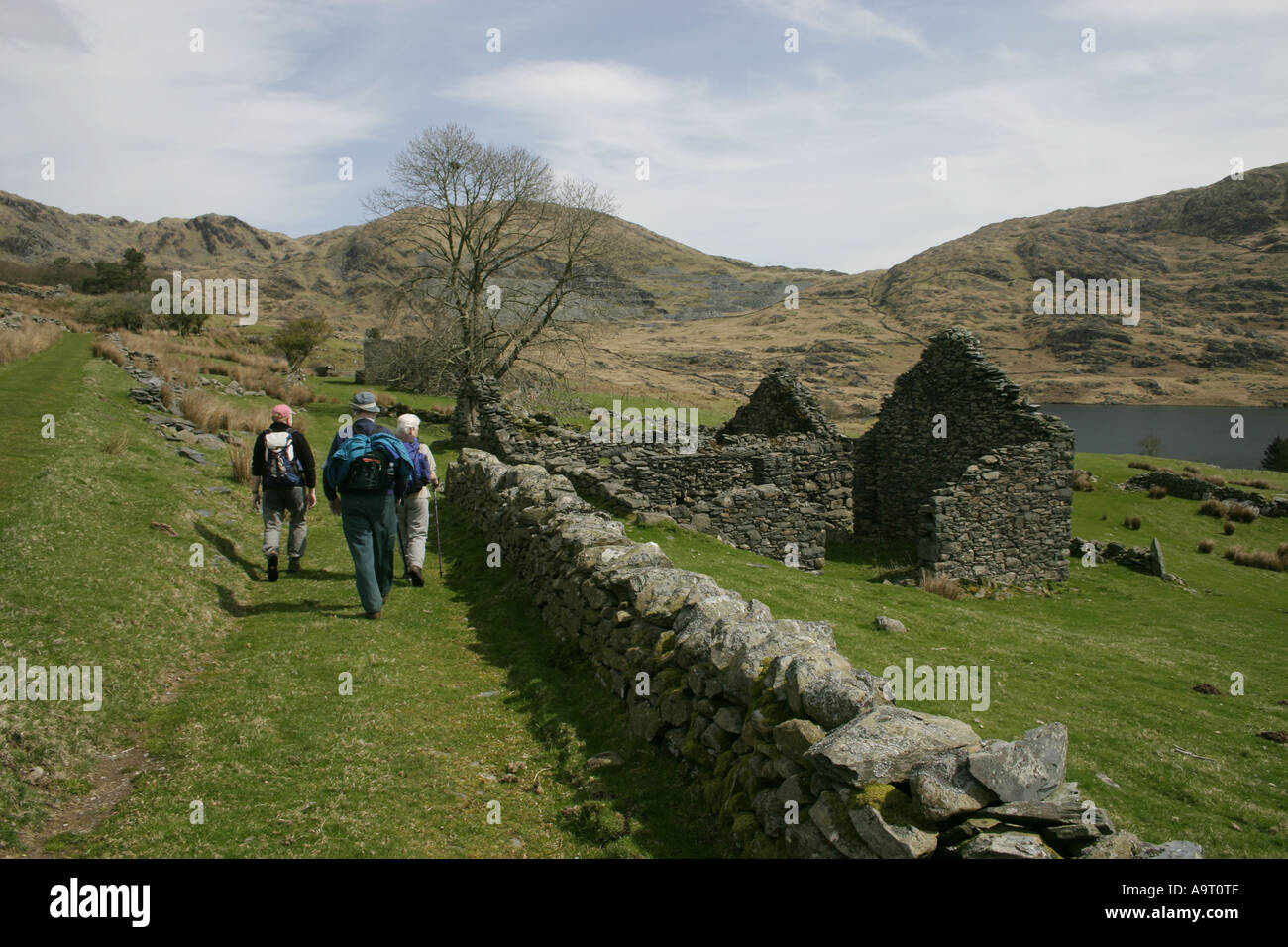 Tal y llyn hi-res stock photography and images - Alamy
