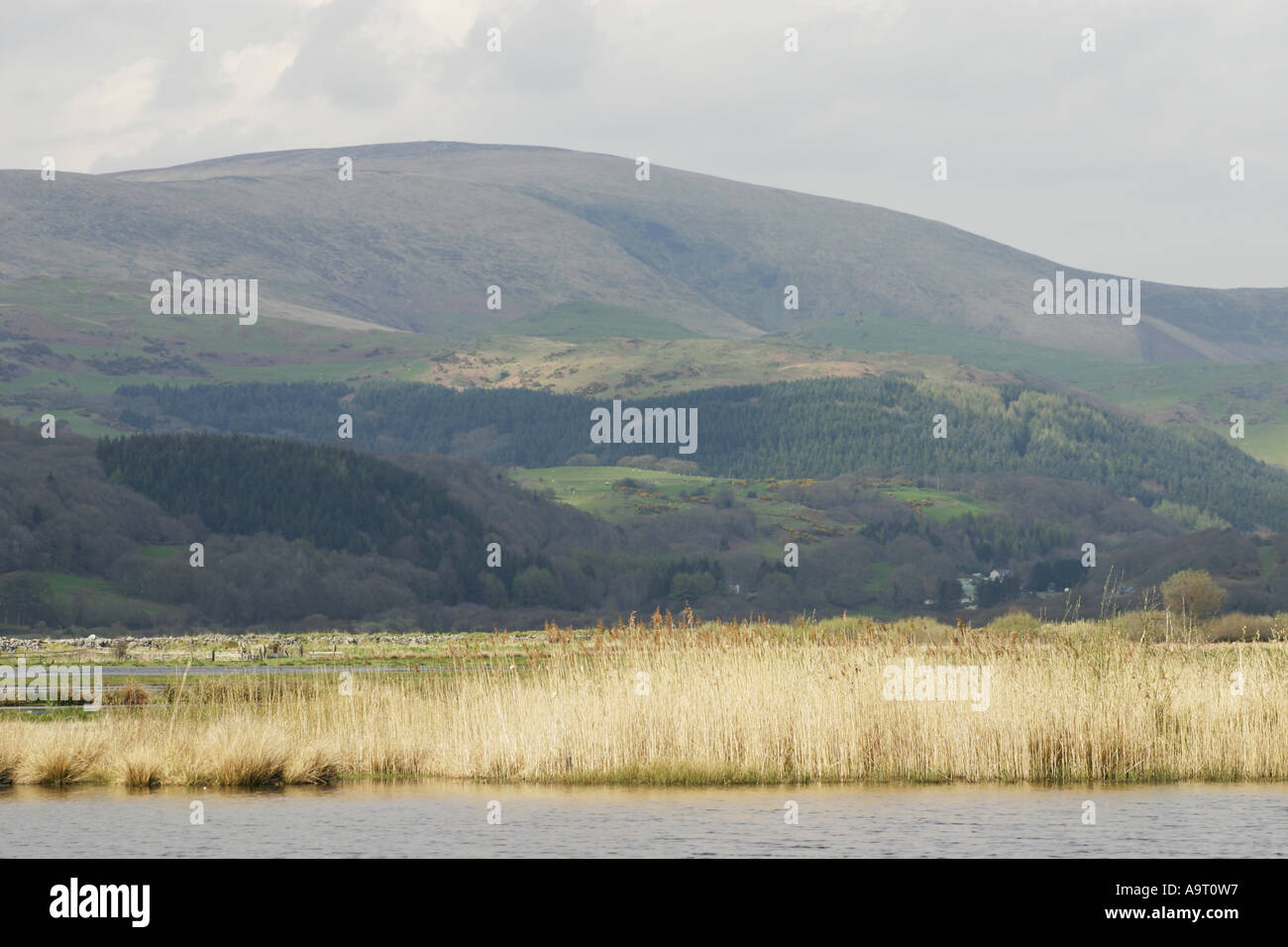 Ynys-hir RSPB Reserve in Wales, overlooks the River Dovey and the hills ...
