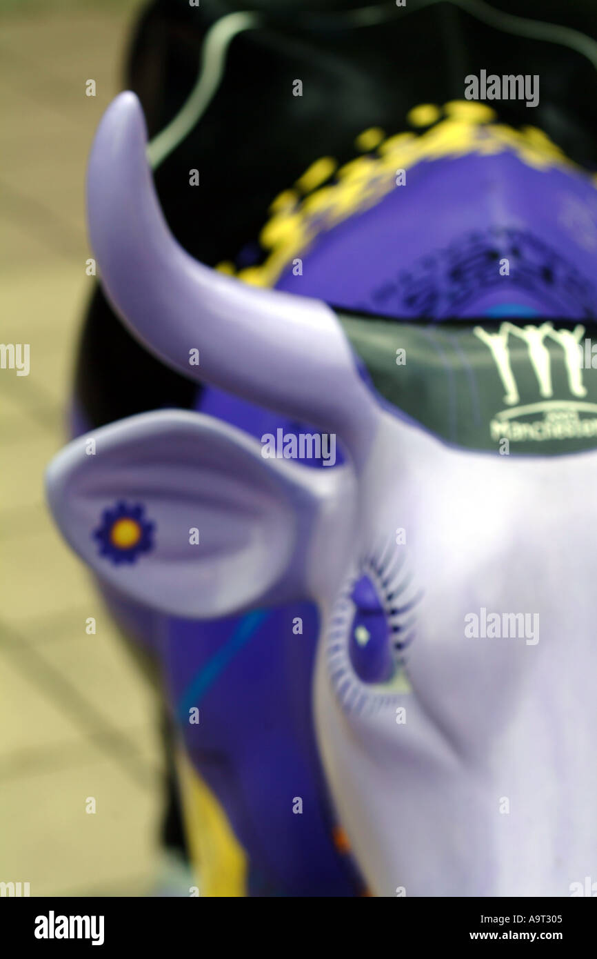 Close up half cow hi-res stock photography and images - Alamy