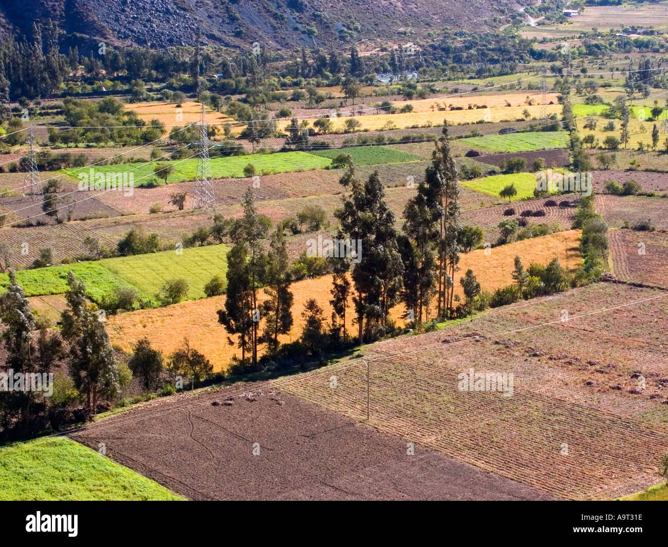 Small fields in the Urubamba valley at Ollantaytambo, Peru Stock Photo ...