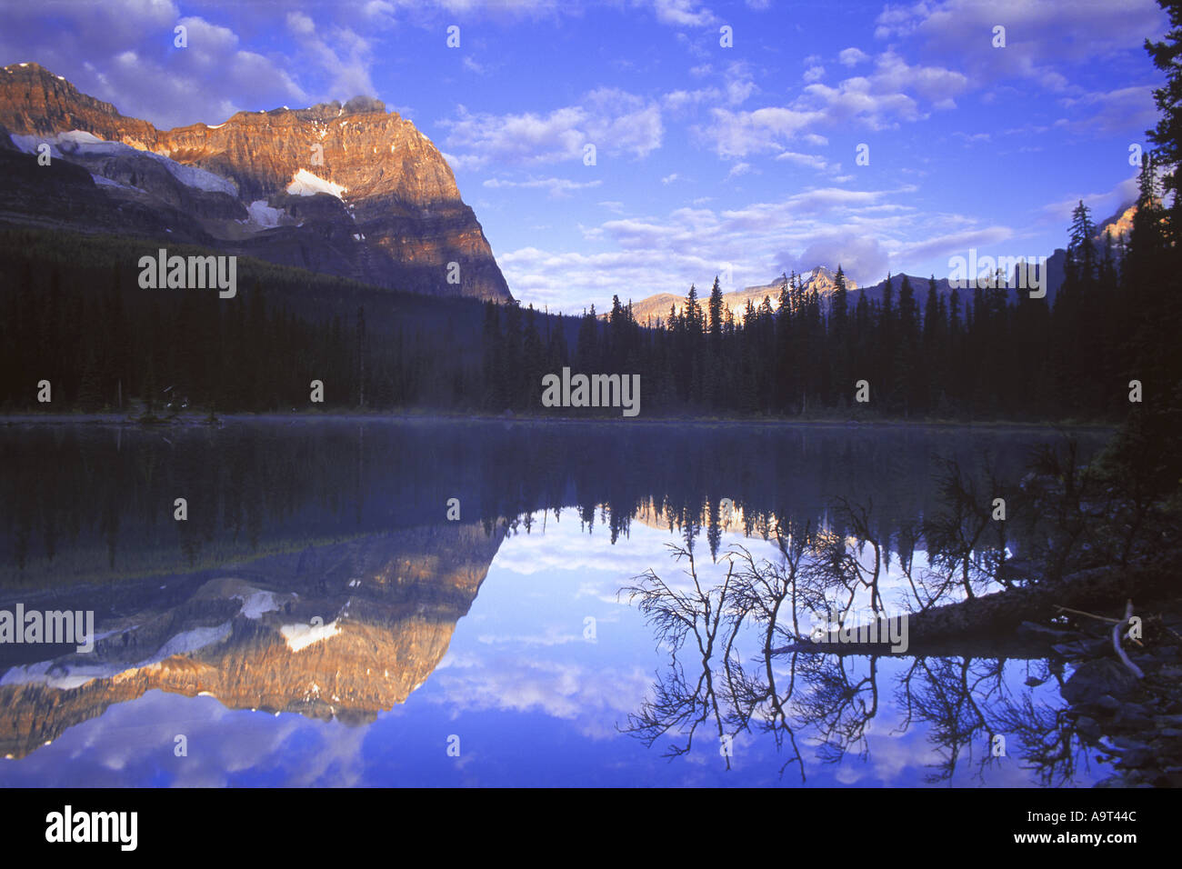Beautiful view in lake hi-res stock photography and images - Alamy