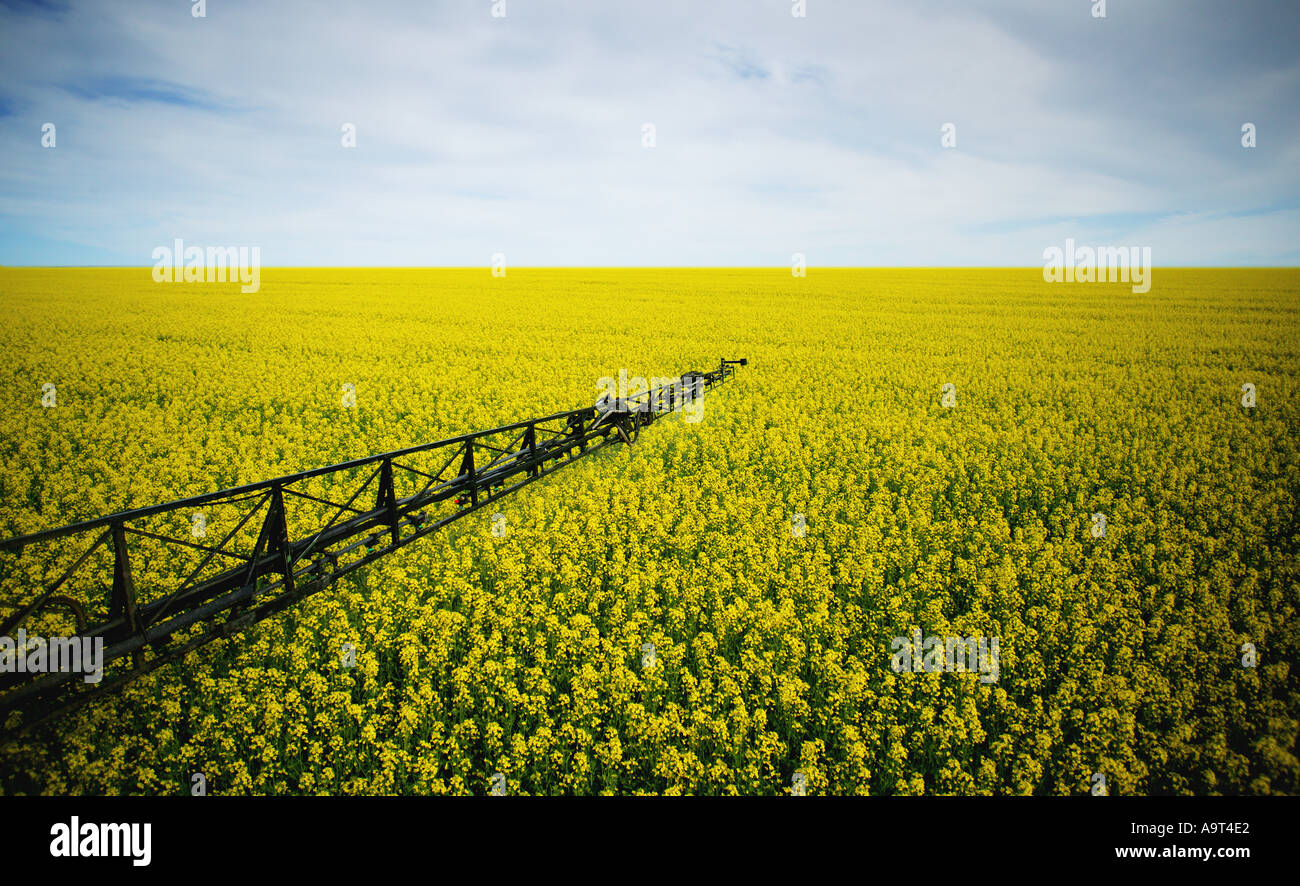 A farmer's field Stock Photo - Alamy