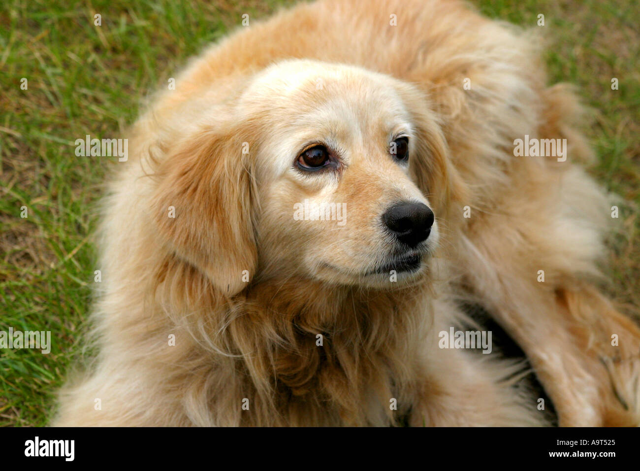 Athlete camaraderie hi-res stock photography and images - Alamy