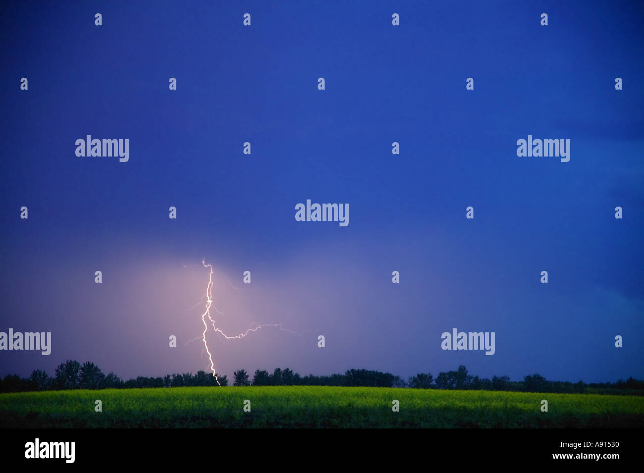 Lightning field hi-res stock photography and images - Alamy