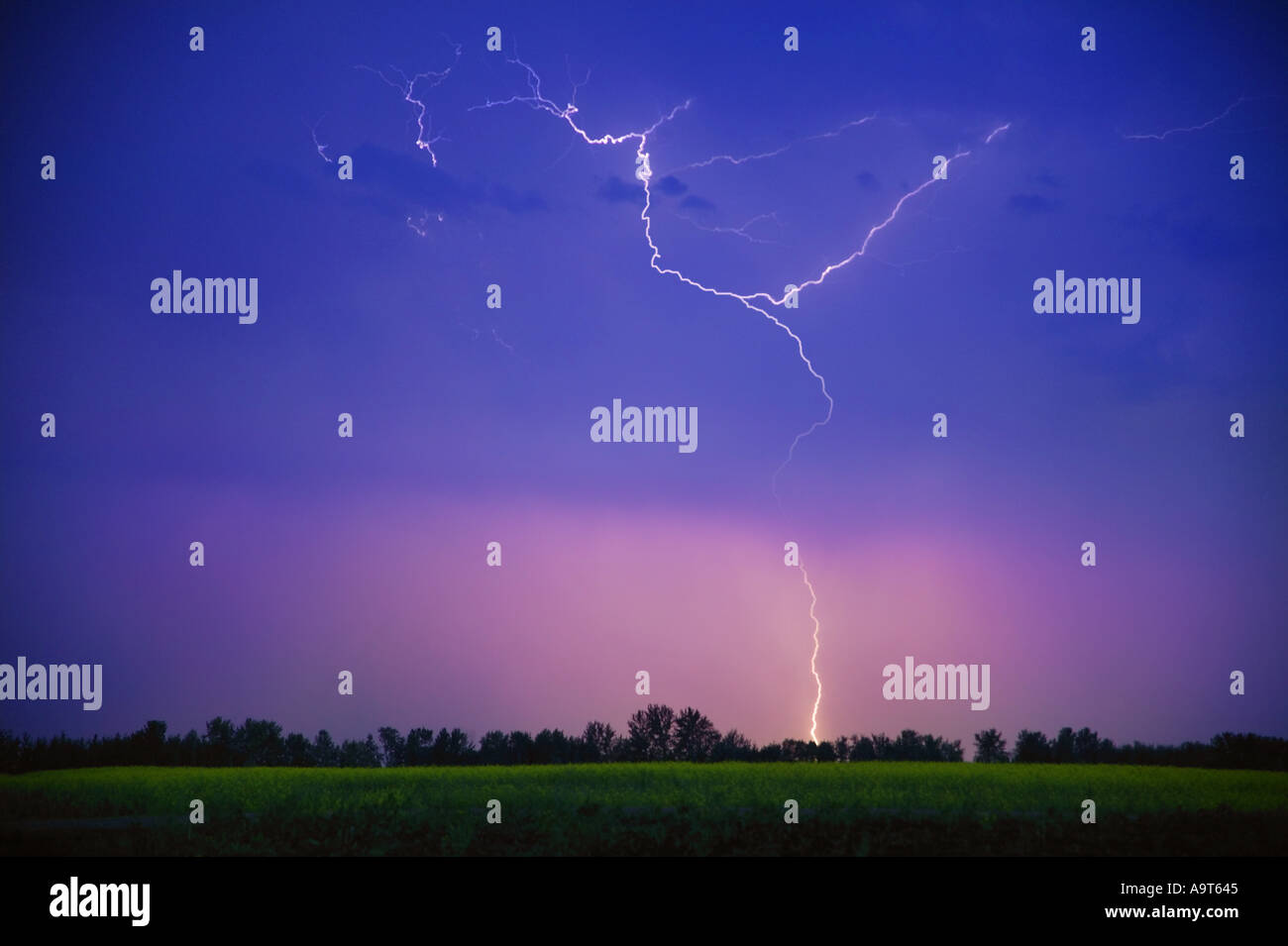 A lightning storm Stock Photo - Alamy