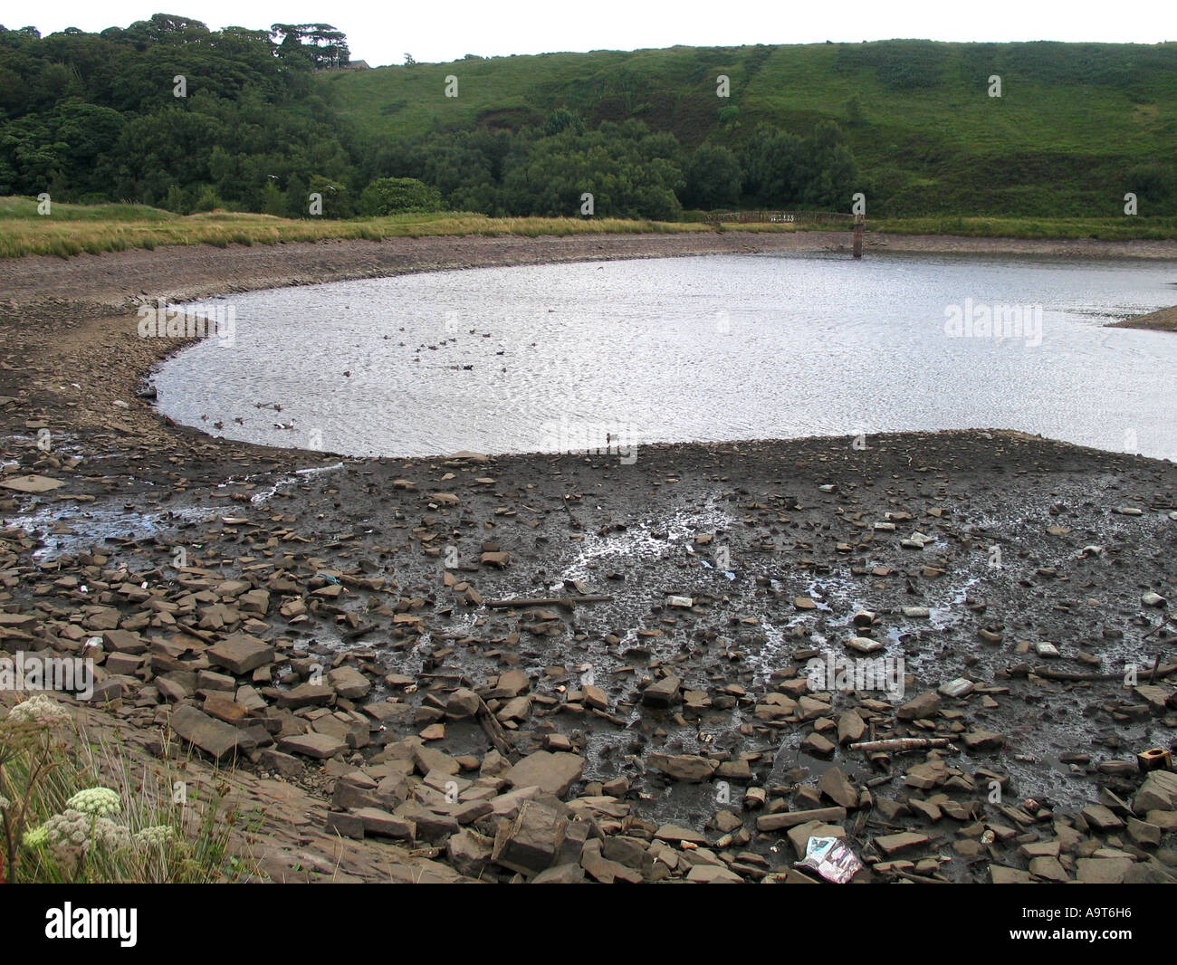 Reservoir Low Water Level High Resolution Stock Photography and Images ...