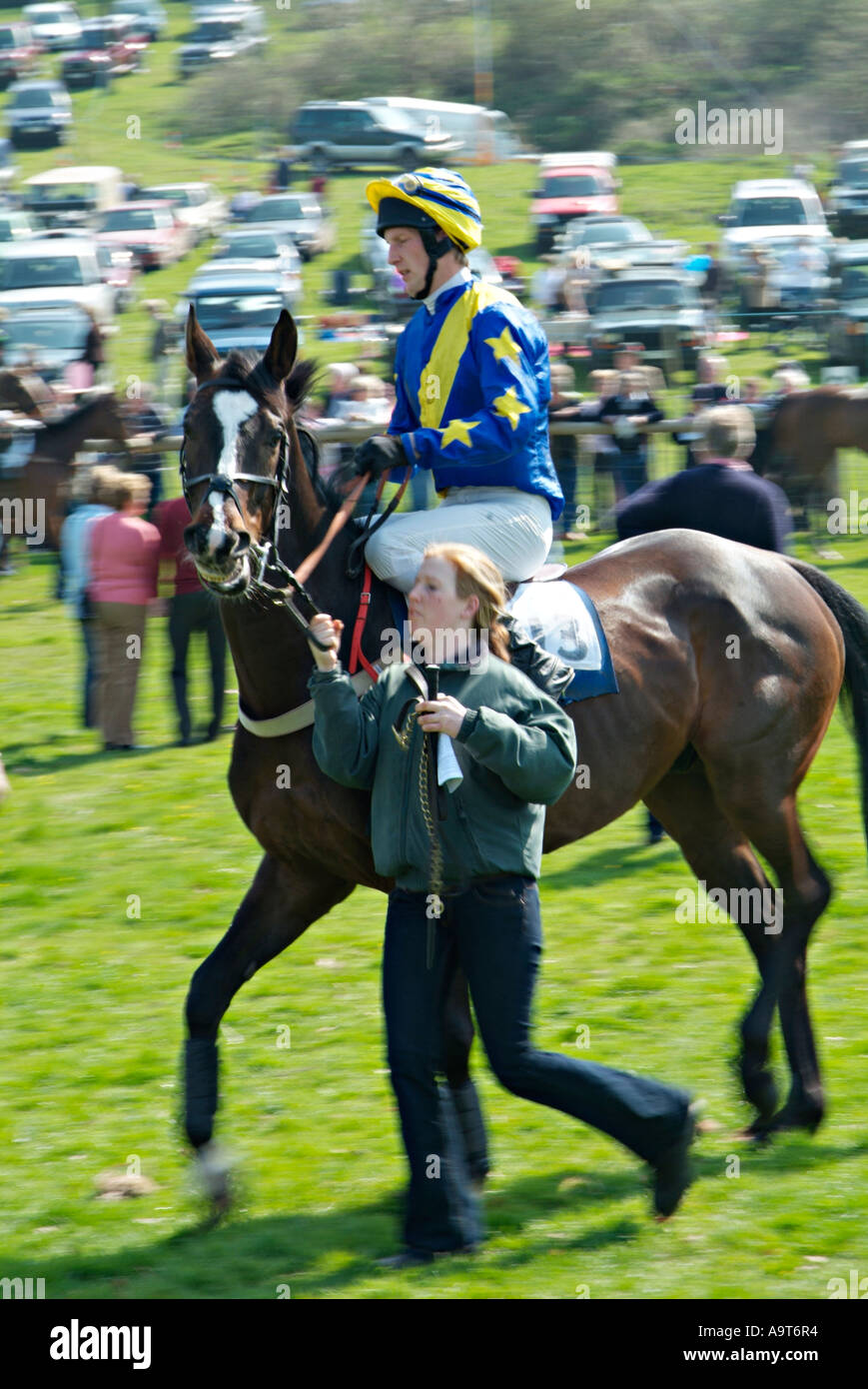 Horses parading in paddock hi-res stock photography and images - Alamy