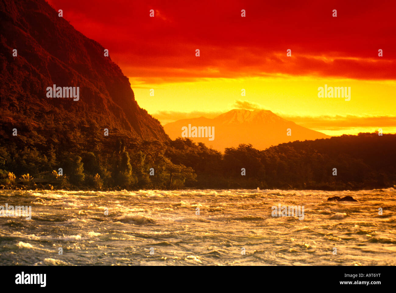 SCENIC RIO PETROHUE RIVER PEREZ ROSALES NATIONAL PARK CHILE Stock Photo ...