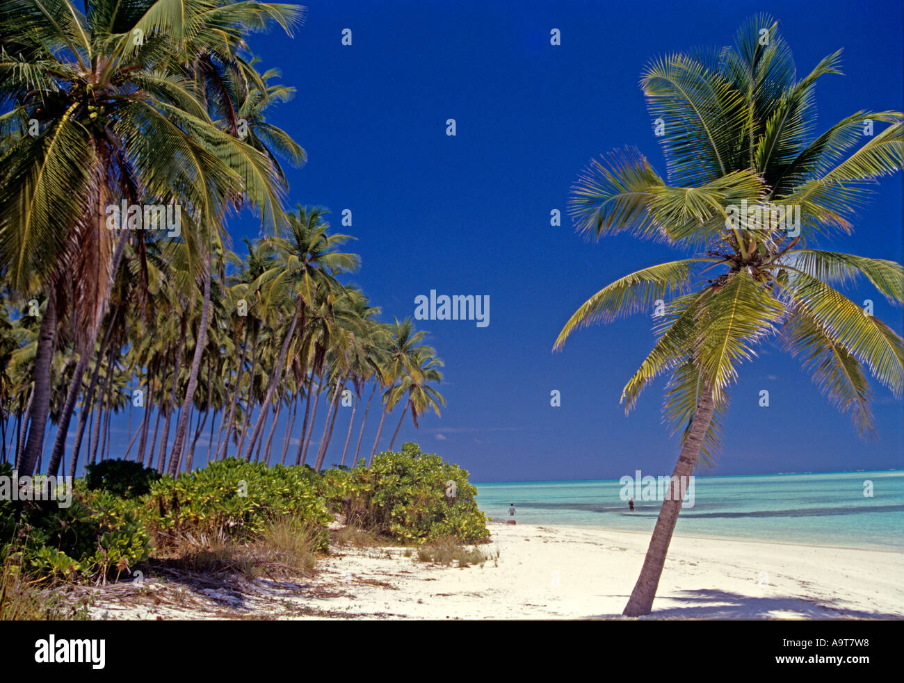 Bangaram island hi-res stock photography and images - Alamy