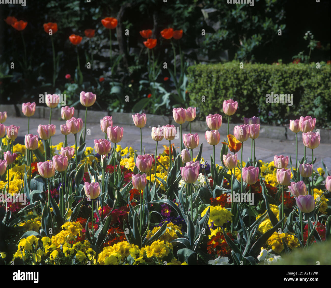 Garden england hi-res stock photography and images - Alamy