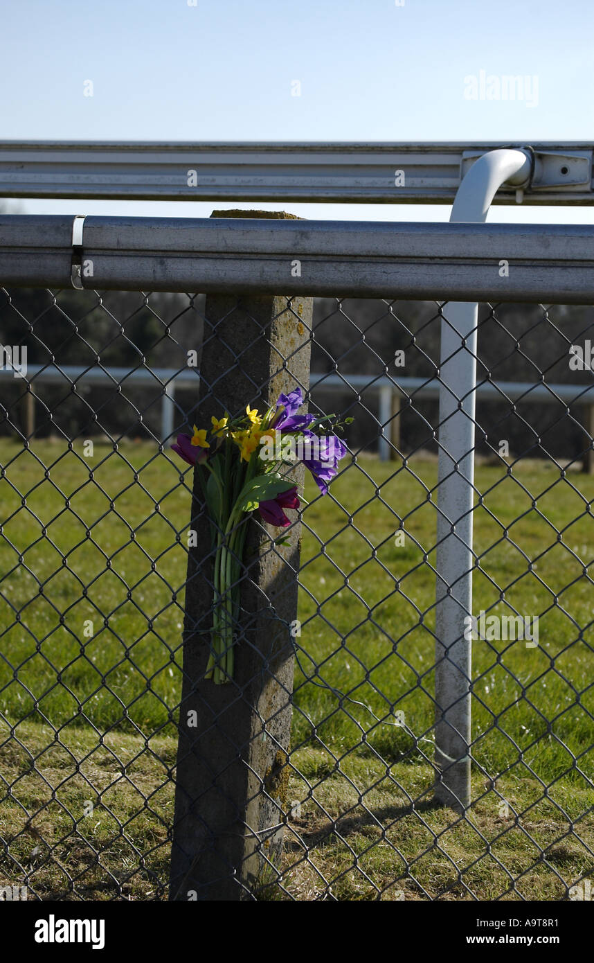 Wire and posy fencing hi-res stock photography and images - Alamy
