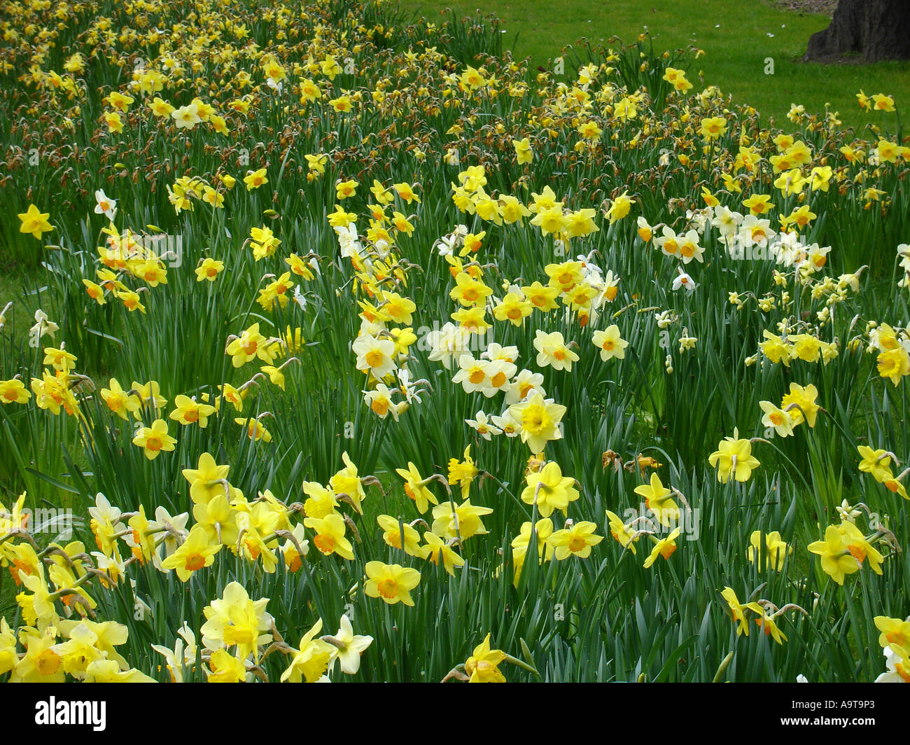 Greenwich garden england hi-res stock photography and images - Alamy