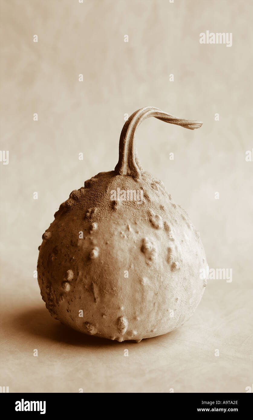 Ugly gourd hi-res stock photography and images - Alamy