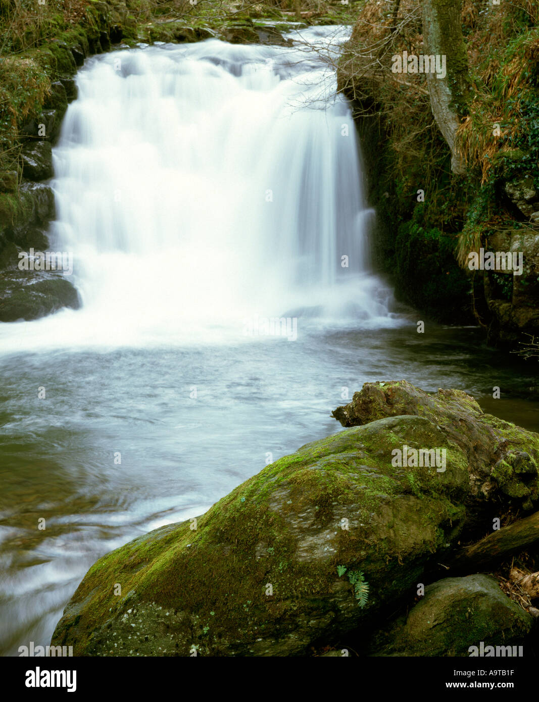 devon waterfall with moss and white water Stock Photo - Alamy