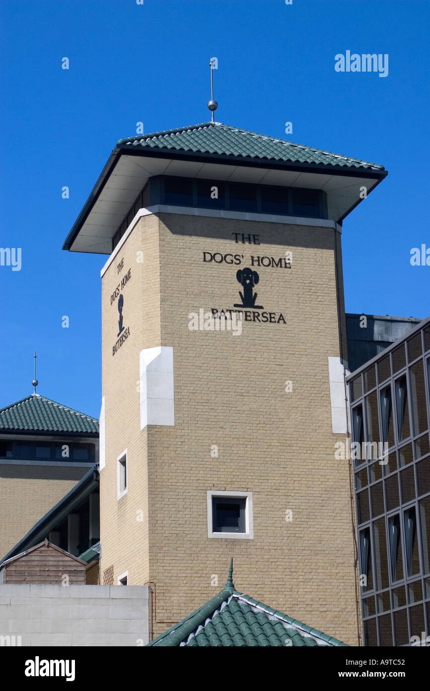 Battersea Dogs Home London Stock Photo - Alamy