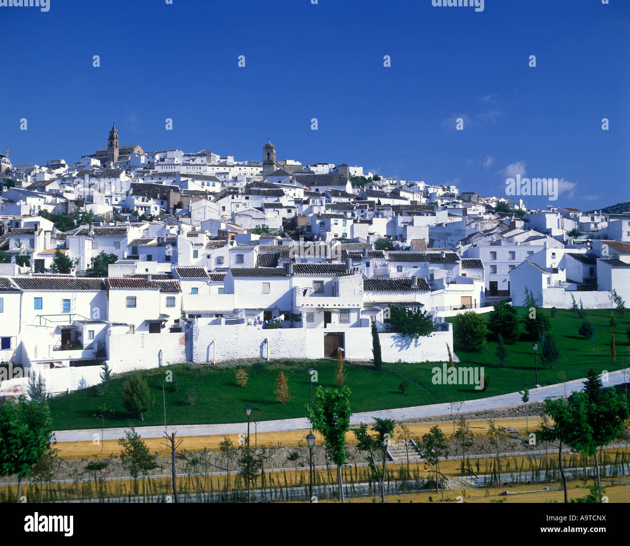 Baena hi-res stock photography and images - Alamy