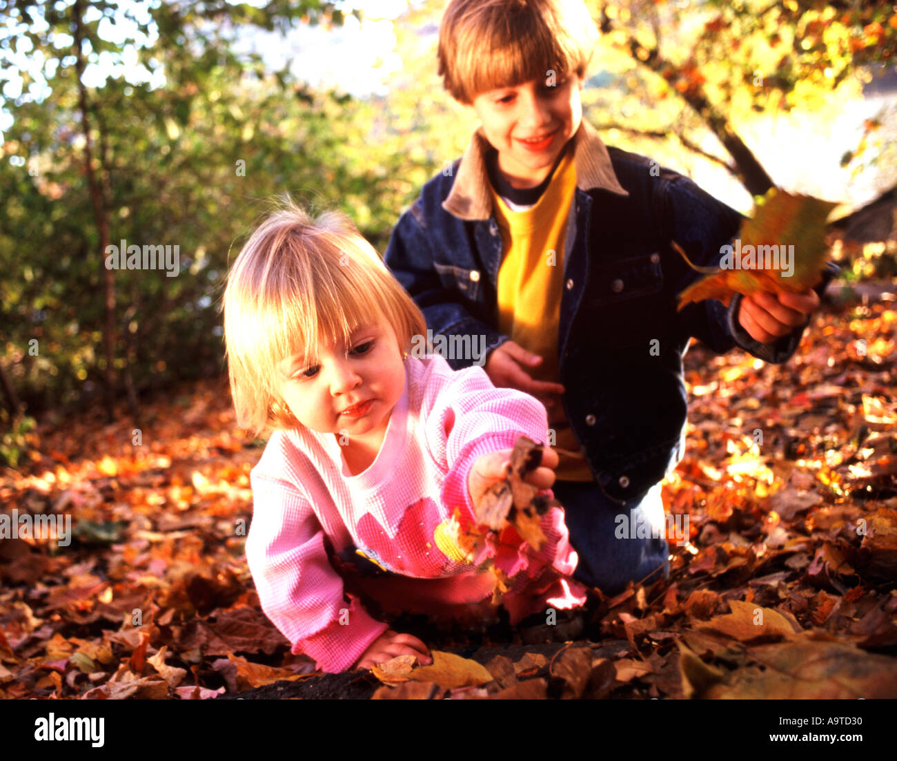 Kid collecting leaves hi-res stock photography and images - Alamy
