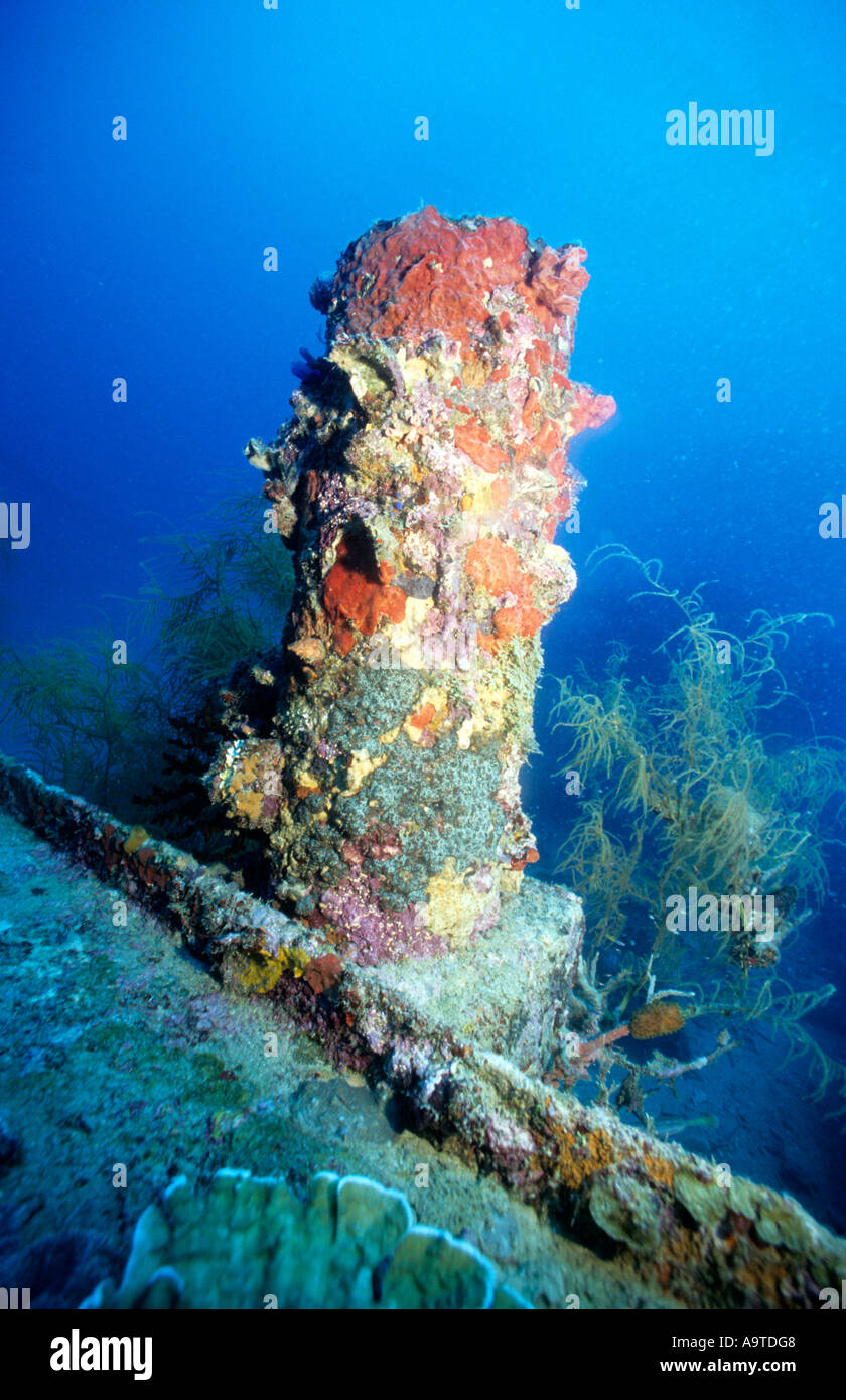 Superstructure of the Nanshin Maru wreck covered in mixed corals and ...