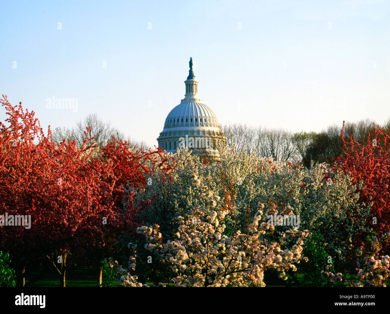 Branches of federal government hi-res stock photography and images - Alamy