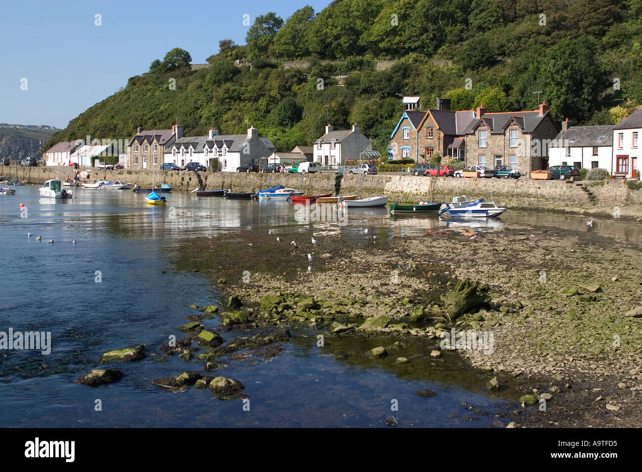 Lower Town Harbour Fishguard Pembrokeshire Wales UK Stock Photo - Alamy