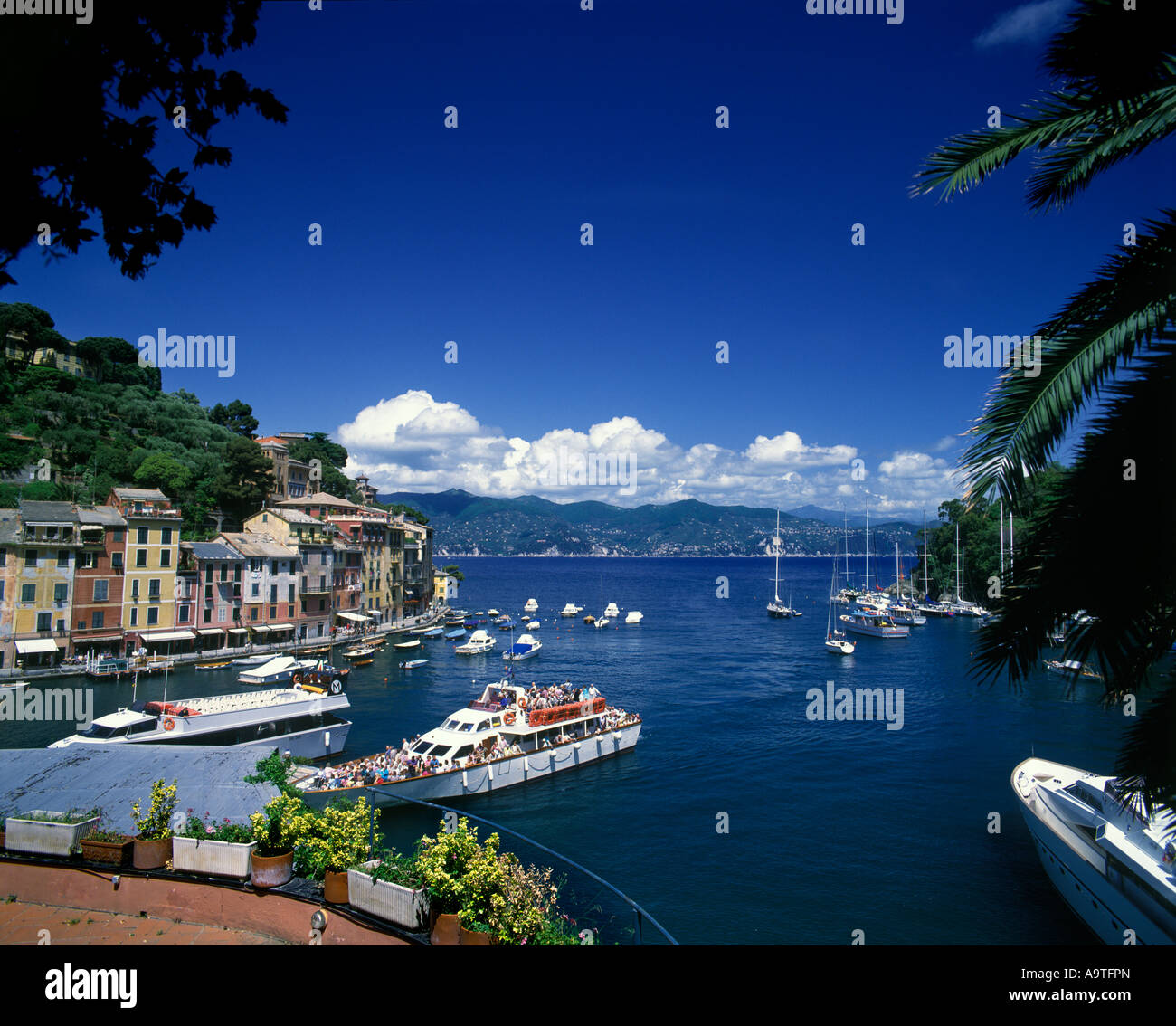 PORTOFINO BAY LIGURIAN RIVIERA GULF OF GENOA ITALY Stock Photo - Alamy