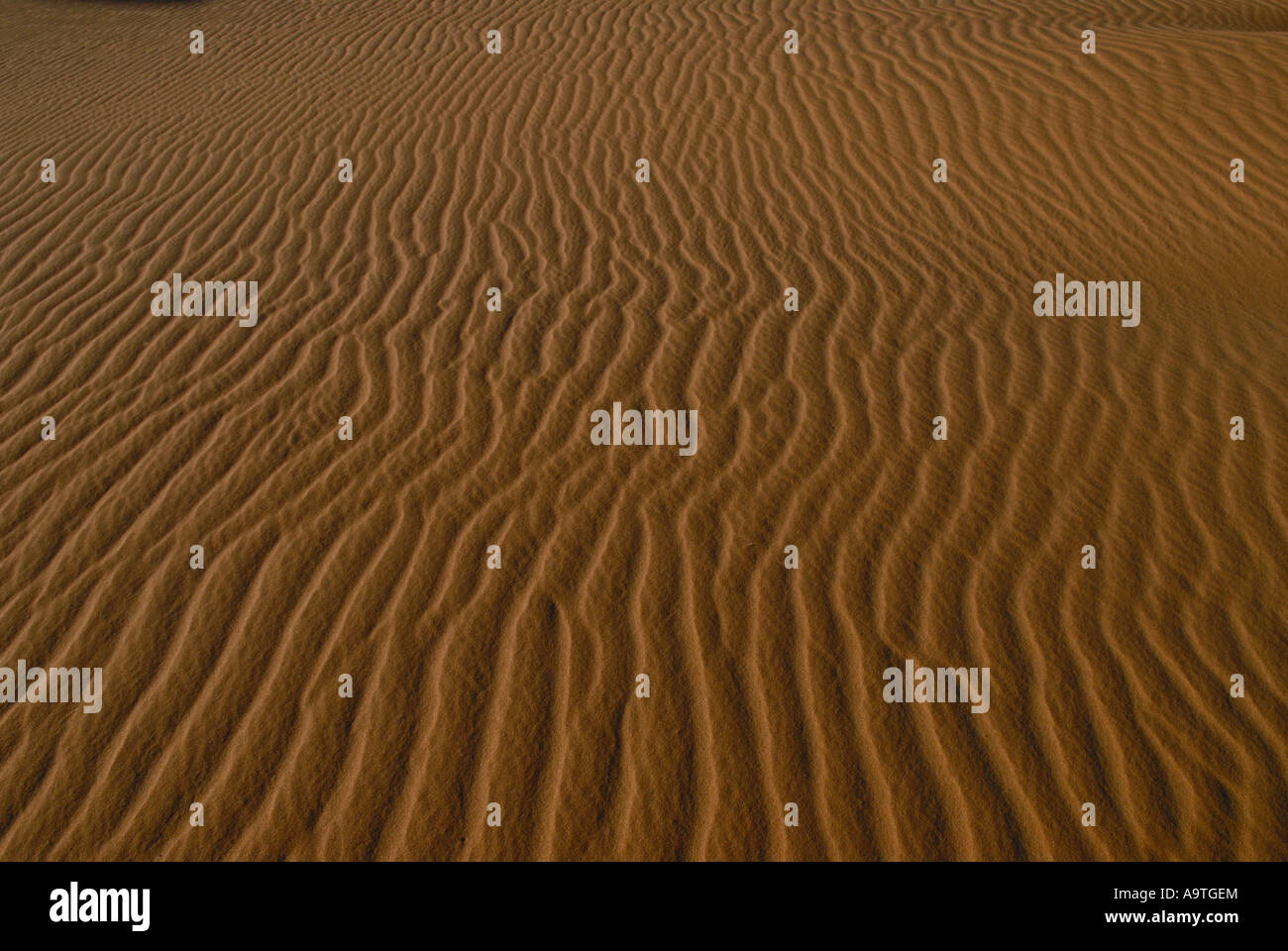 Sand in the sahara desert Stock Photo - Alamy