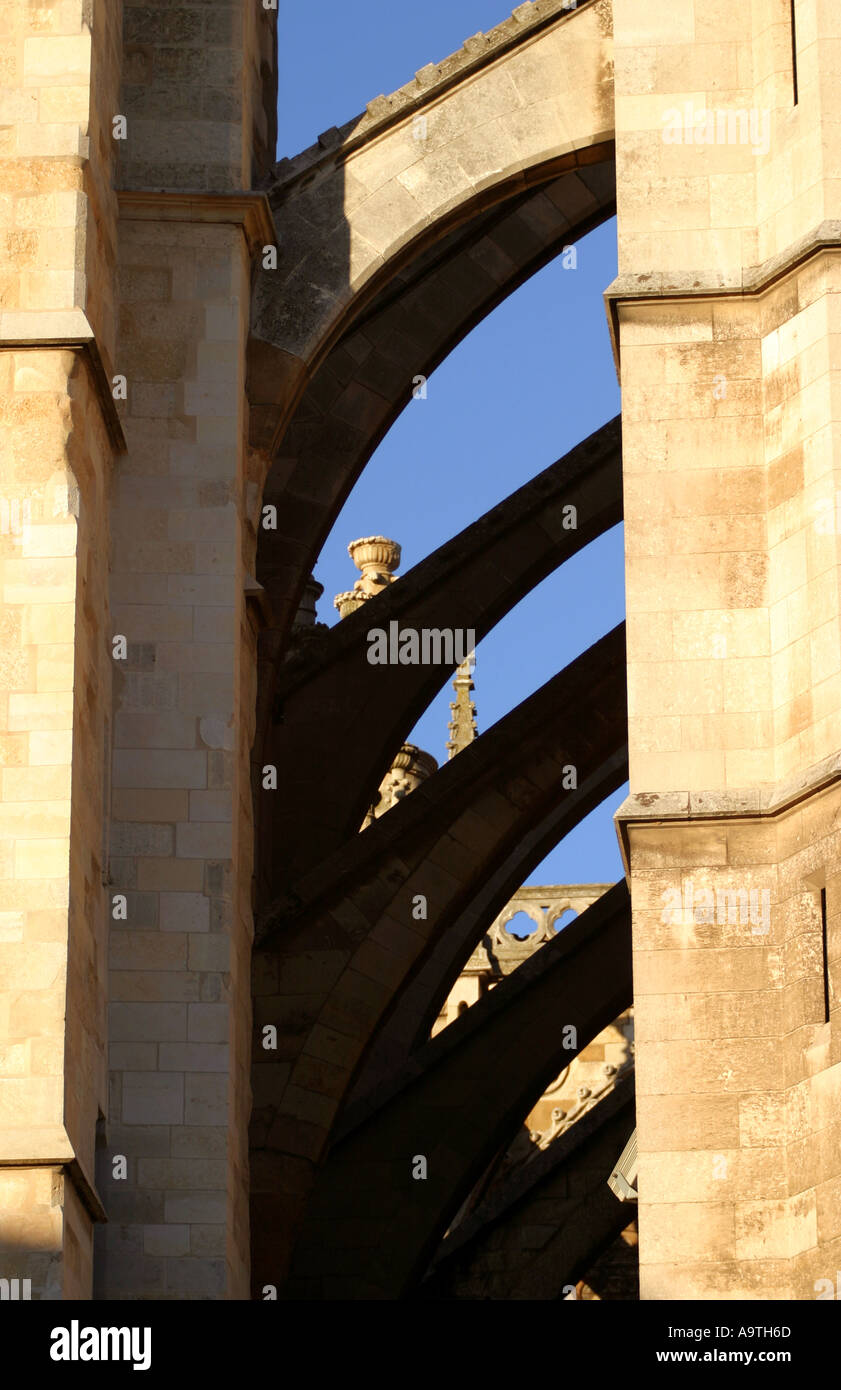 Flying buttresses of the Gothic cathedral in Leon Castile Leon Spain ...