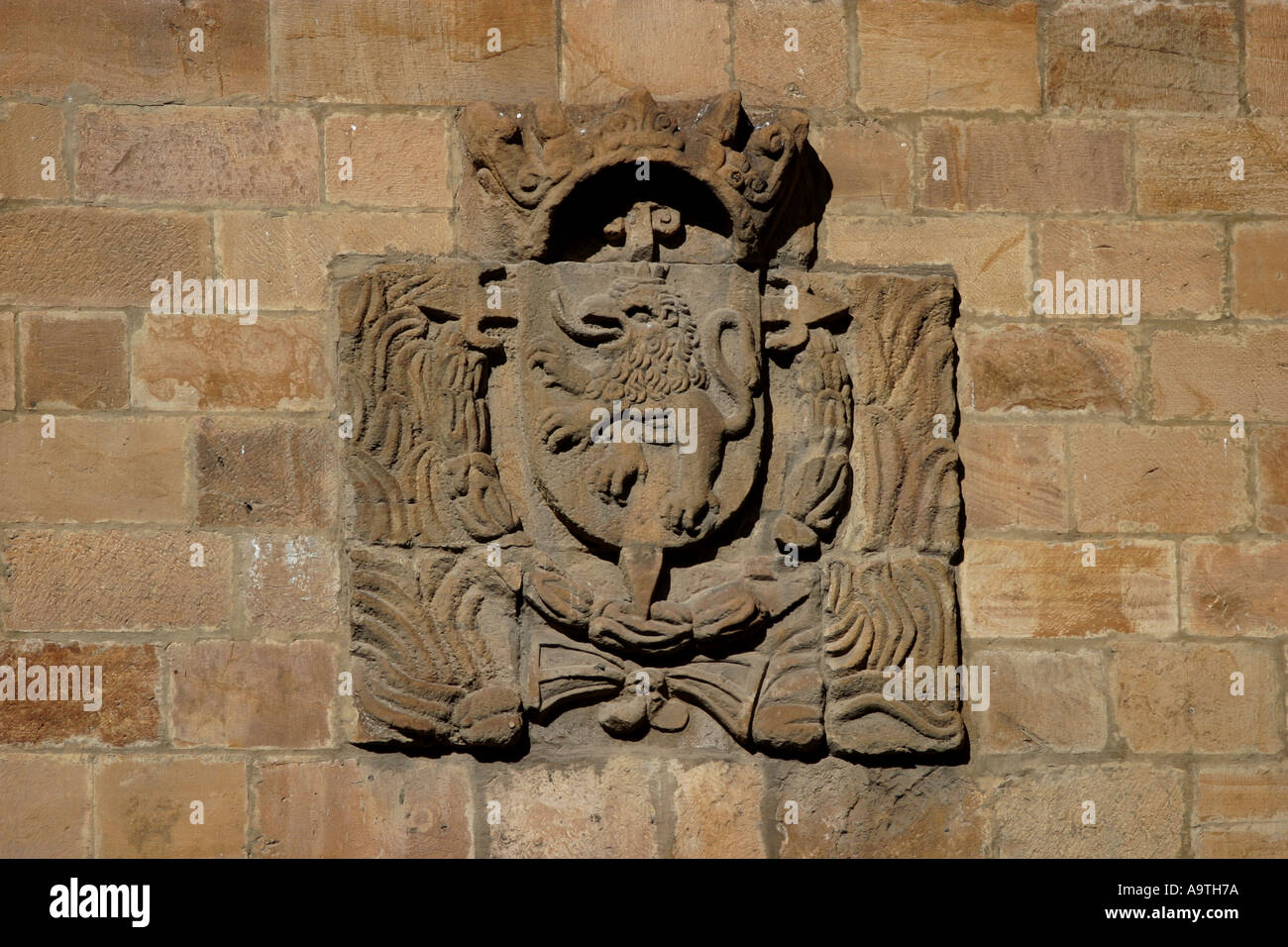 Carved stone coat of arms featuring lion Leon Castile Leon Spain Europe ...