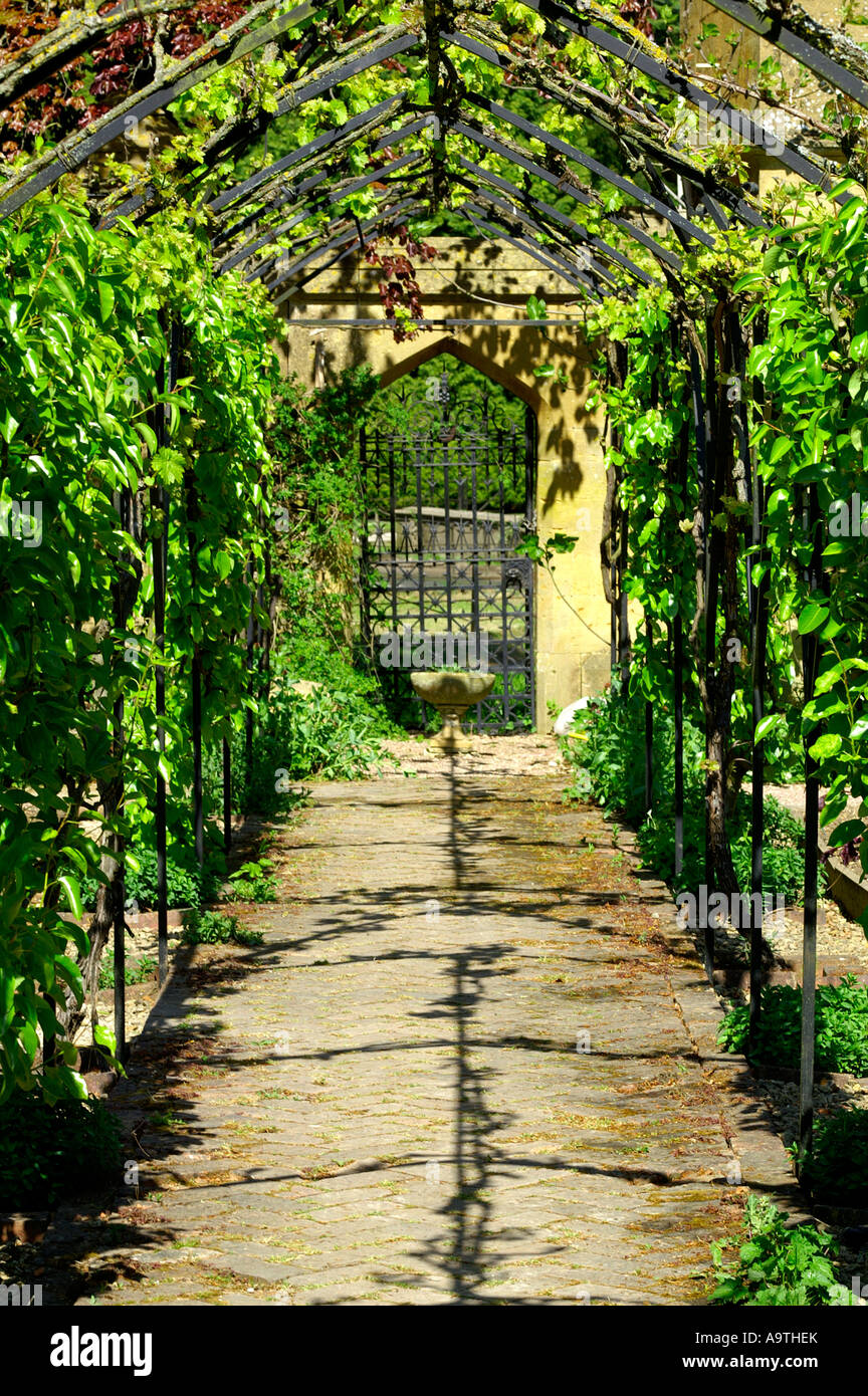 "green corridor" in garden at Sudeley Castle, Winchcombe Stock Photo ...