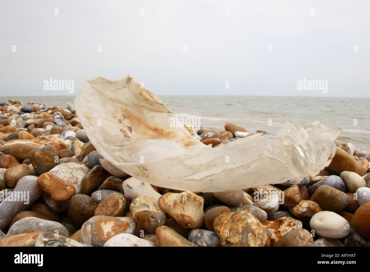 Plastic squashed bottle washed ashore Stock Photo - Alamy