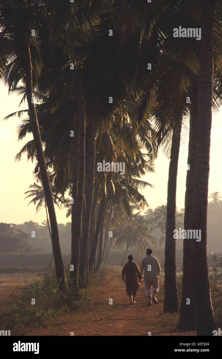GOA Country path through rice paddies in Benaulim Stock Photo - Alamy