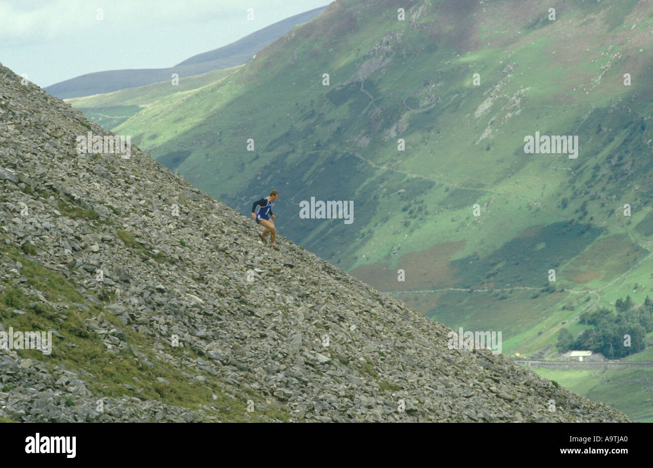 Jim Wood Sportsman Fell Runner. Fell running down Foel Goch across ...