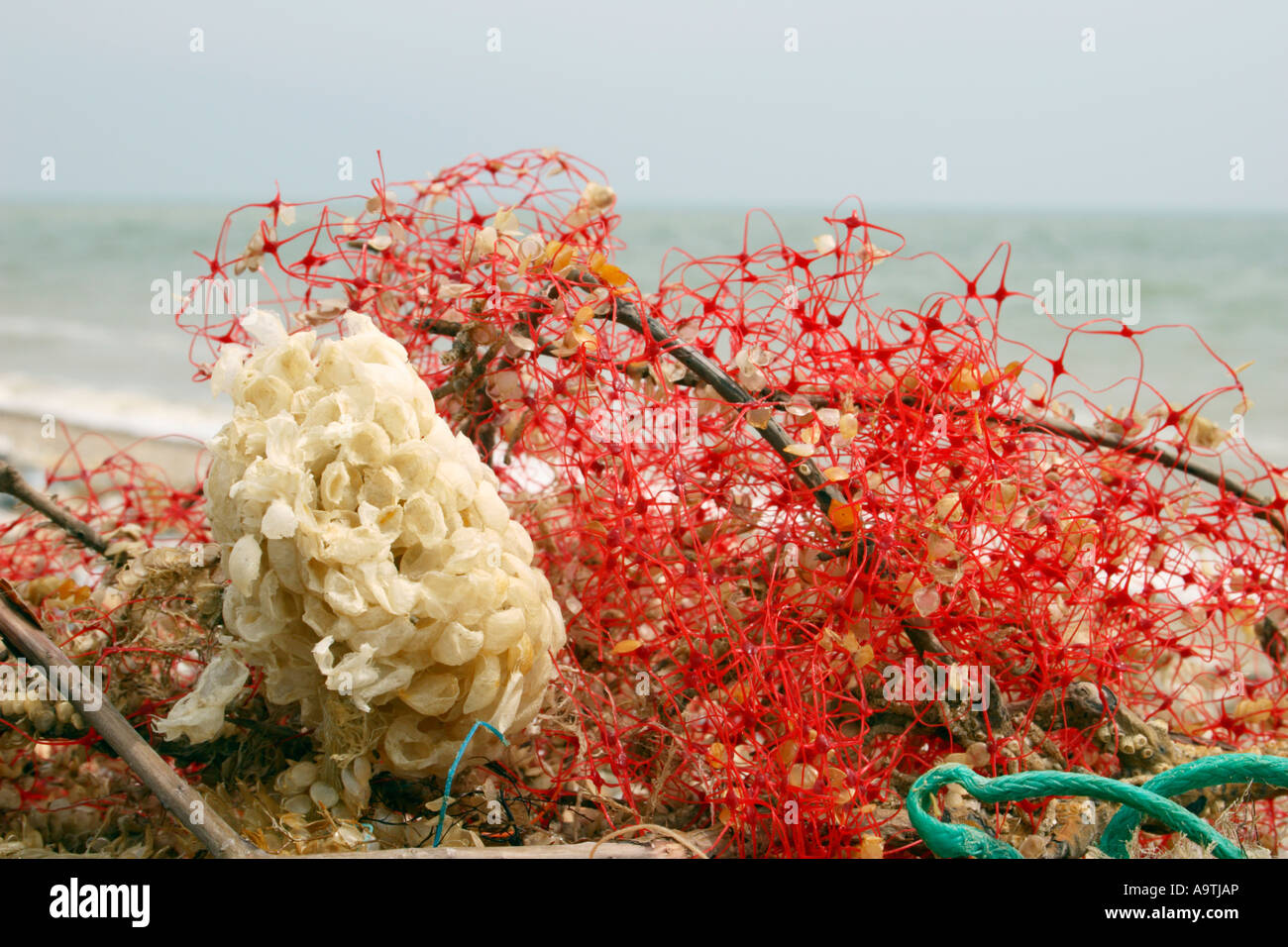 Flotsam and Jetsam washed up on the beach Stock Photo - Alamy