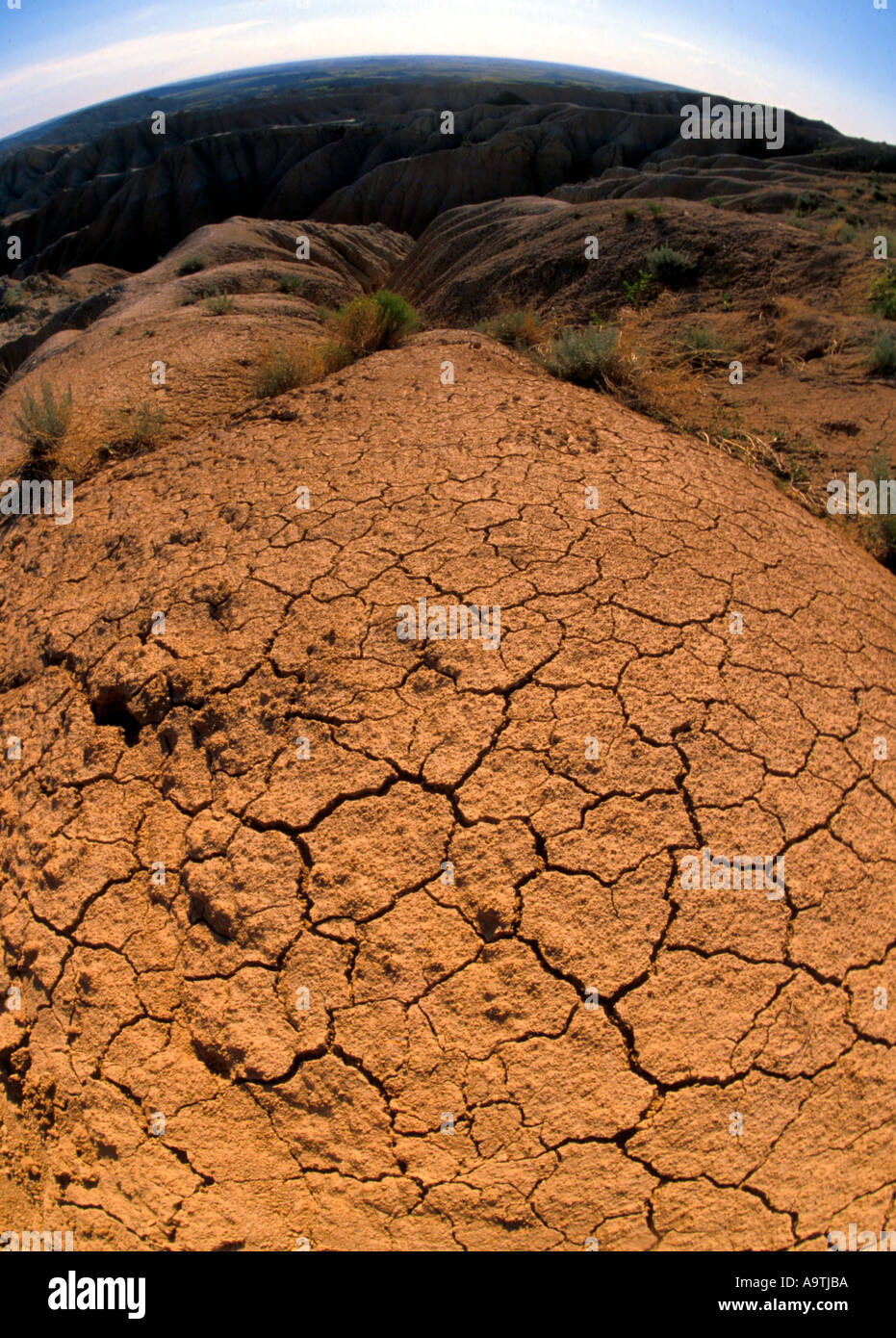 Drought stricken land hi-res stock photography and images - Alamy