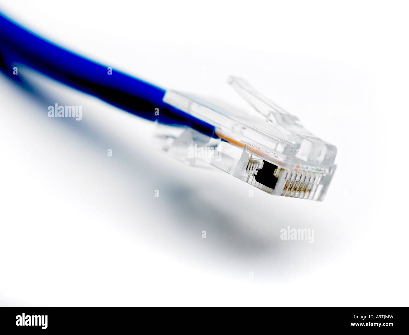 Cat transfer hi-res stock photography and images - Alamy