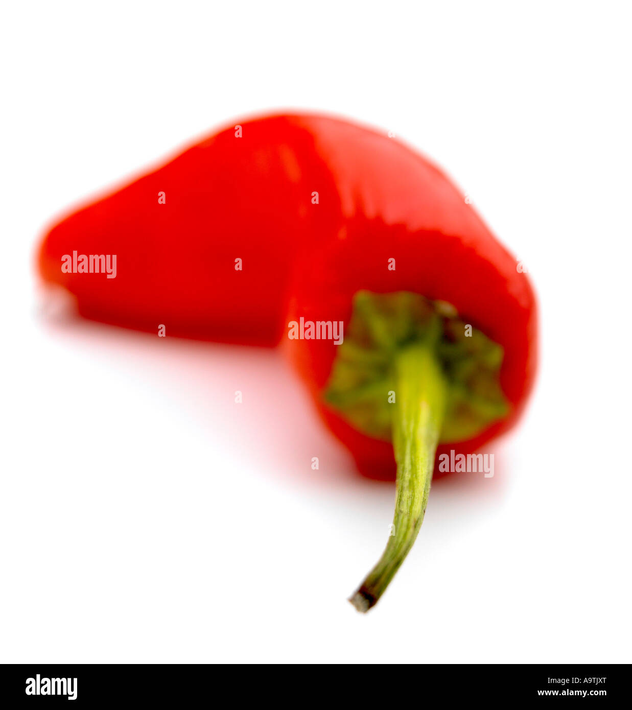 bright bold coloured chilli pepper vegetable Stock Photo - Alamy