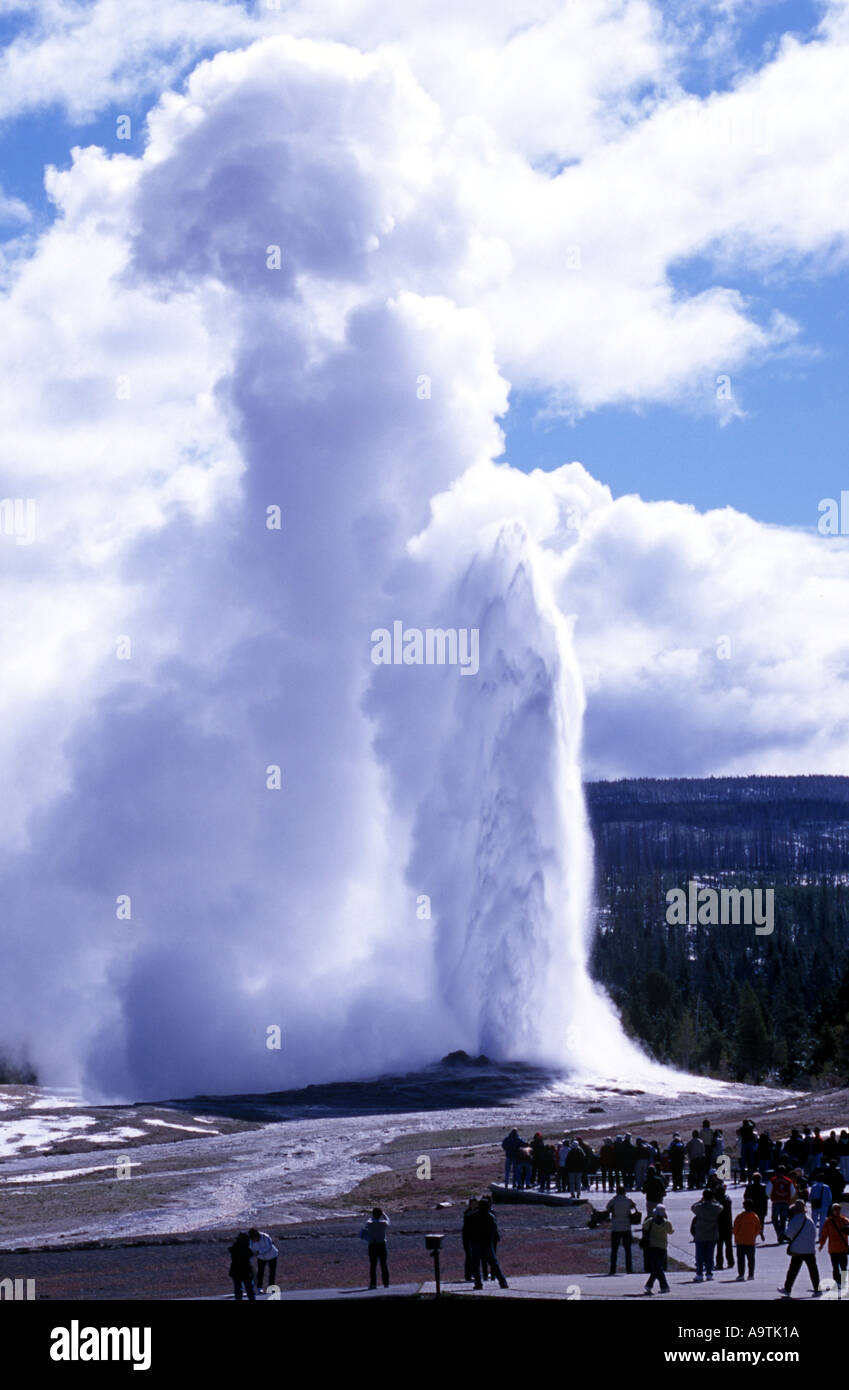 Old Faithful Yellowstone Stock Photo - Alamy