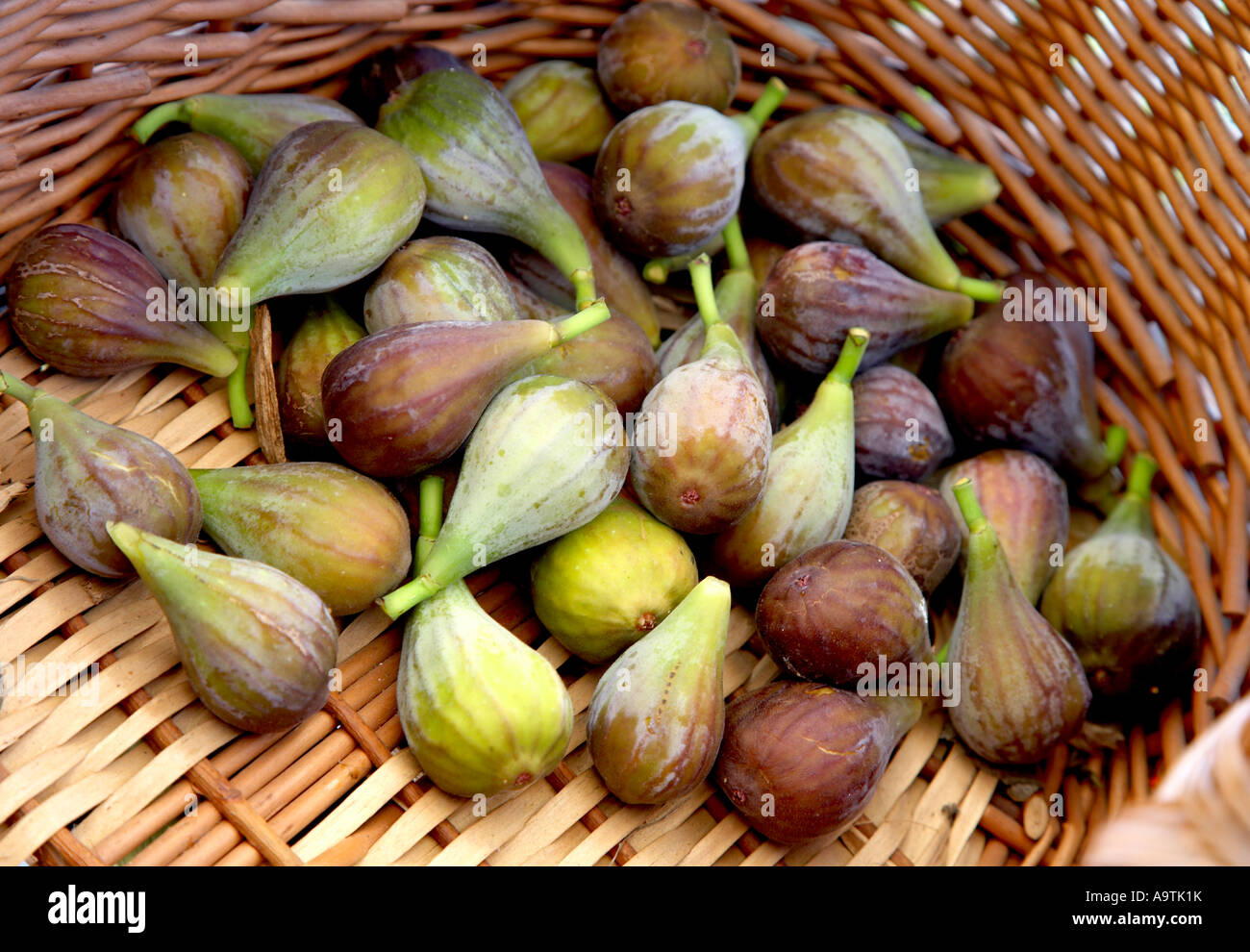 fresh picked figs in wicker basket Stock Photo - Alamy