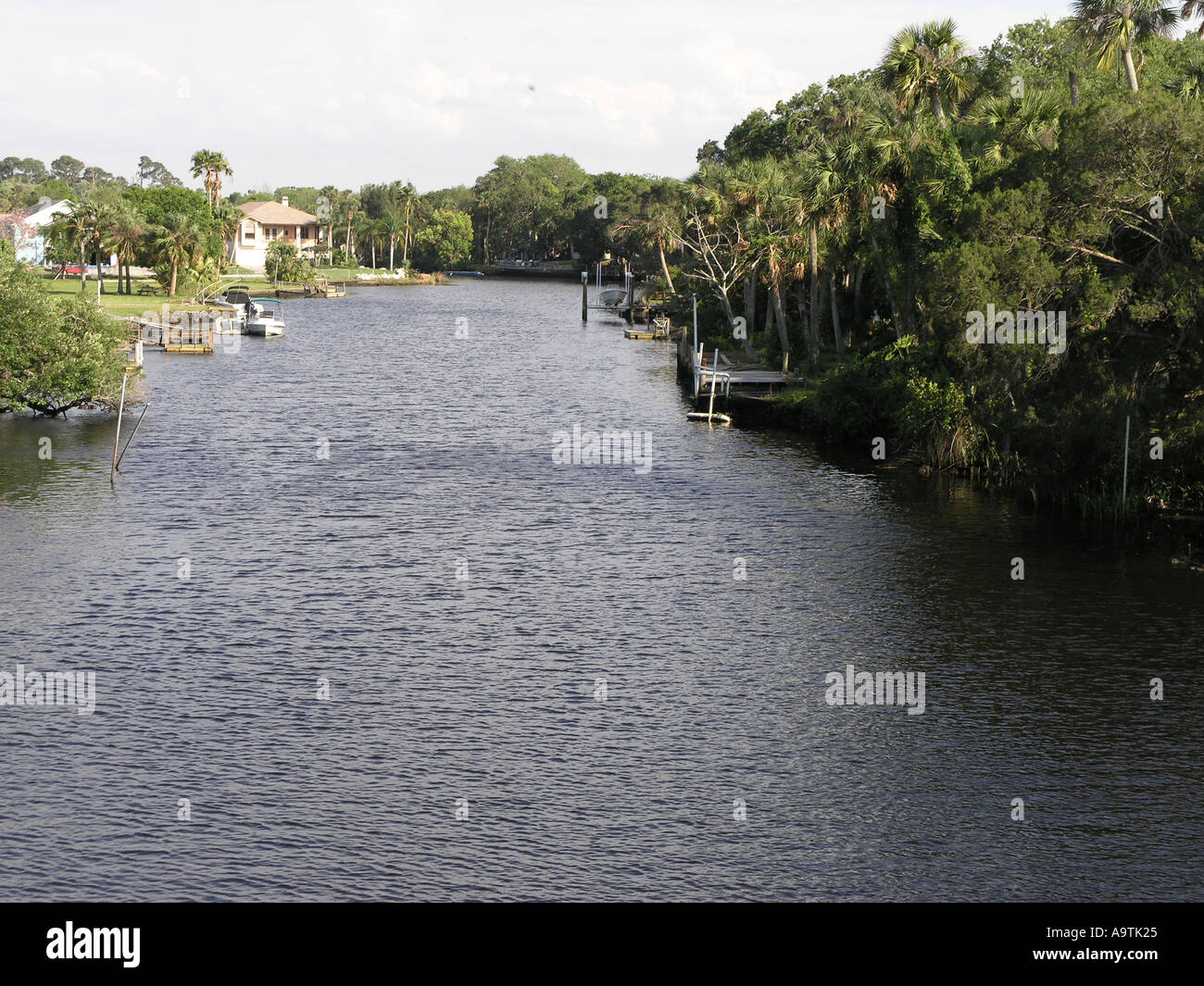 A peaceful Central Florida river winds its way through a subtropical ...