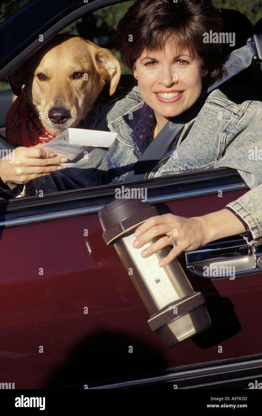 Female caucasian woman in car bank drive up window dog pet copy space ...