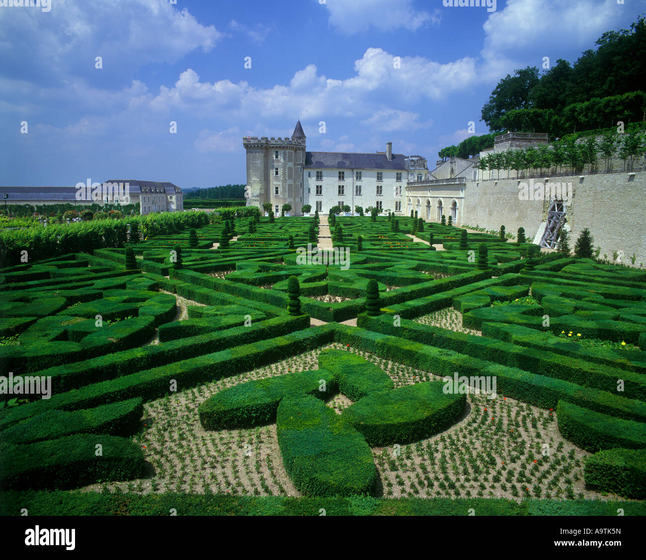 MAZE GARDEN CHATEAU VILLANDRY INDRE ET LOIRE FRANCE Stock Photo - Alamy
