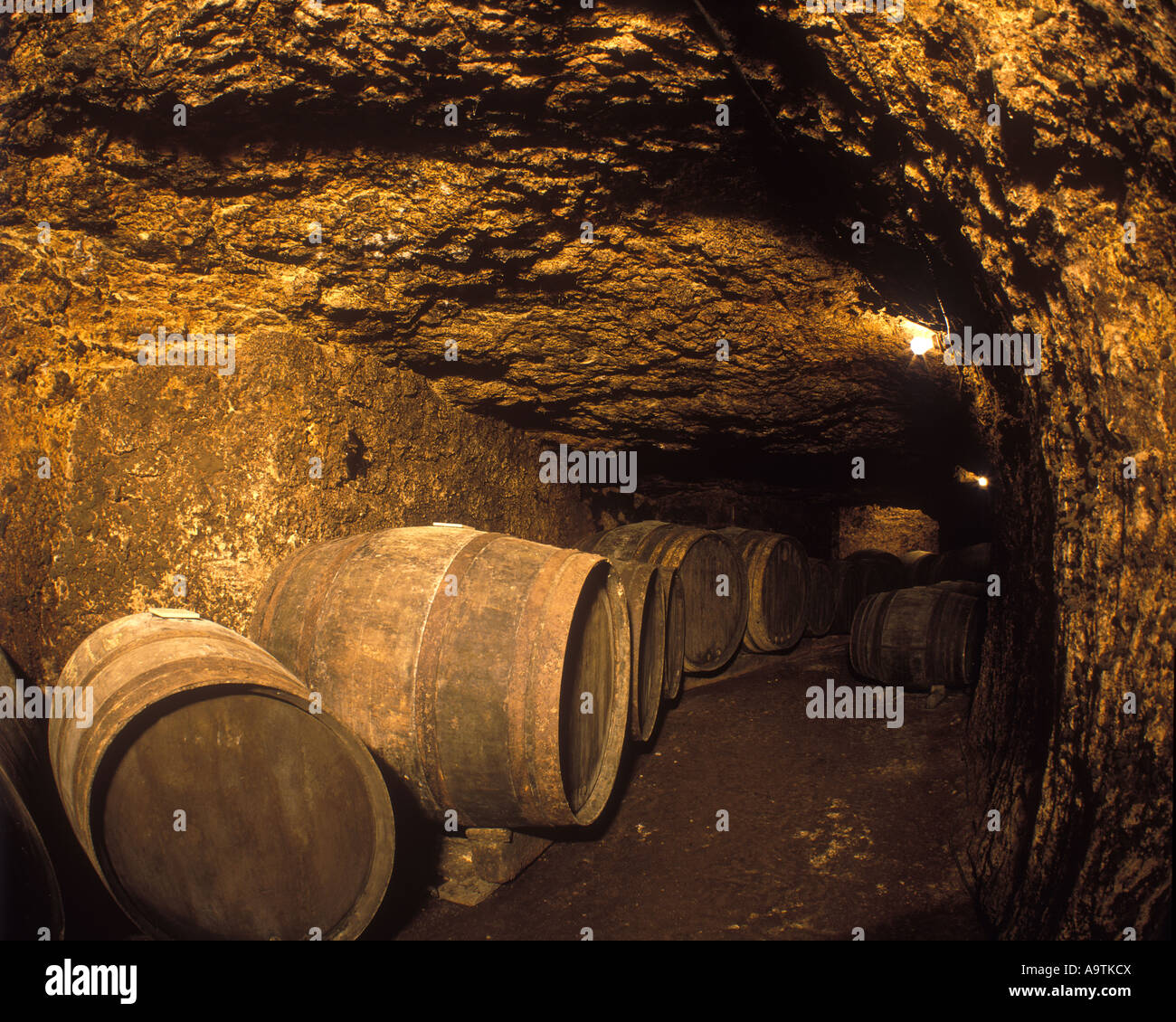 BARRELS WINE CAVE CHAMPALOU VIGNOBLE VOUVRAY LOIRE FRANCE Stock Photo ...