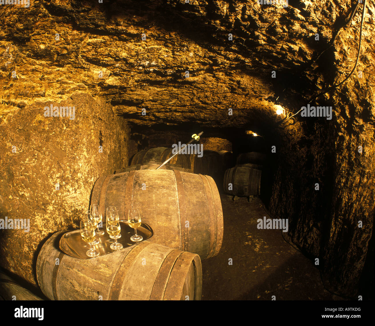 WINE GLASSES ON BARRELS CHAMPALOU VIGNOBLE CAVE VOUVRAY LOIRE FRANCE ...