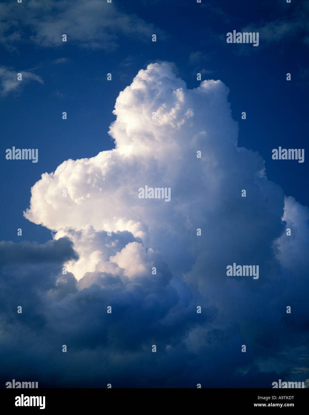 CLOUDSCAPE OF LARGE WHITE ANVIL STORM CLOUD ON PLAIN BLUE SKY Stock ...