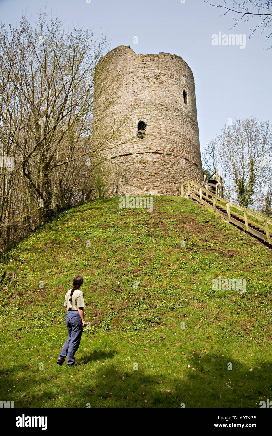 Ruined tower of Bronllys Castle dating from 13th century near Talgarth ...