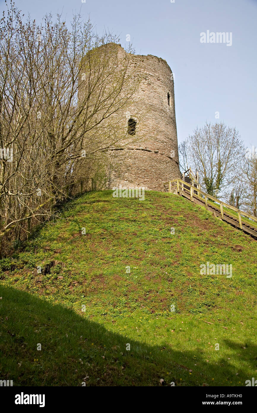 Ruined tower of Bronllys Castle dating from 13th century near Talgarth ...