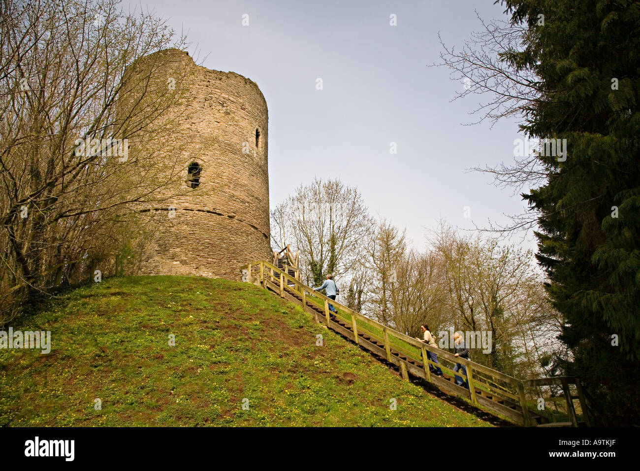 Ruined tower of Bronllys Castle dating from 13th century near Talgarth ...