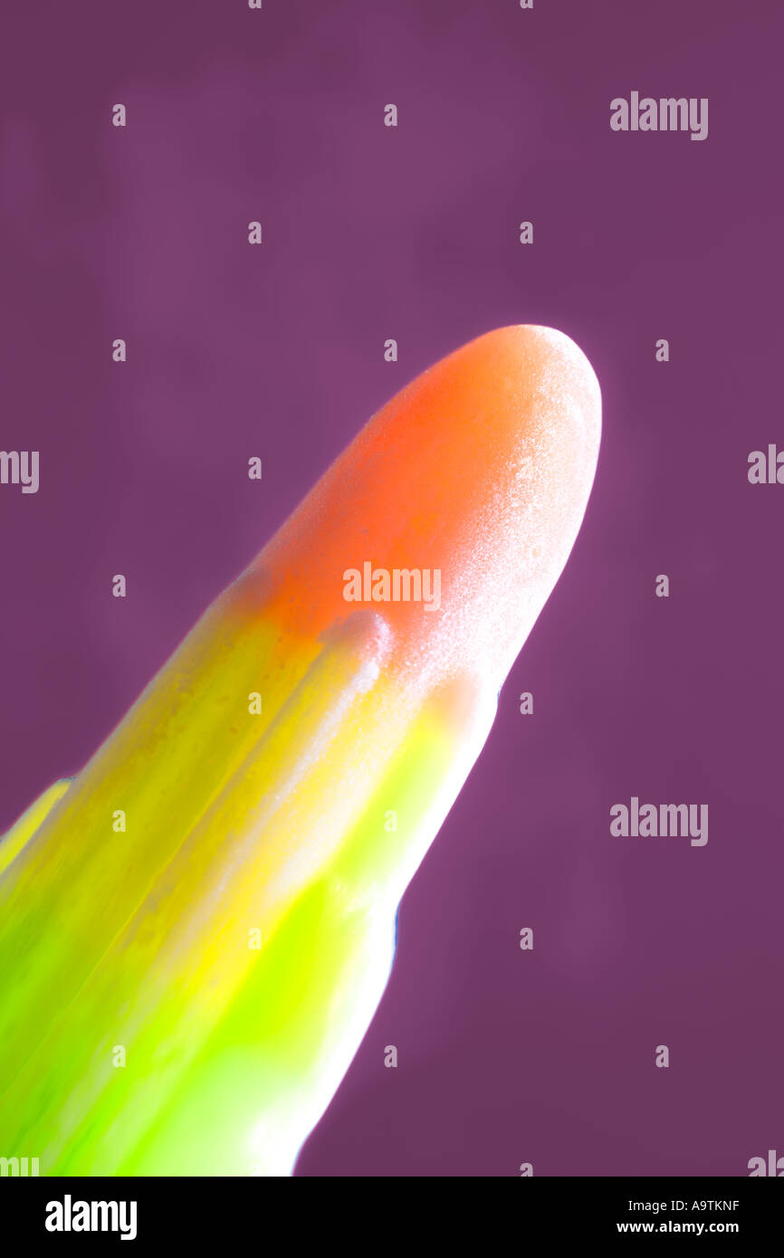 Rocket Shaped Ice Lolly against Purple Background Stock Photo - Alamy