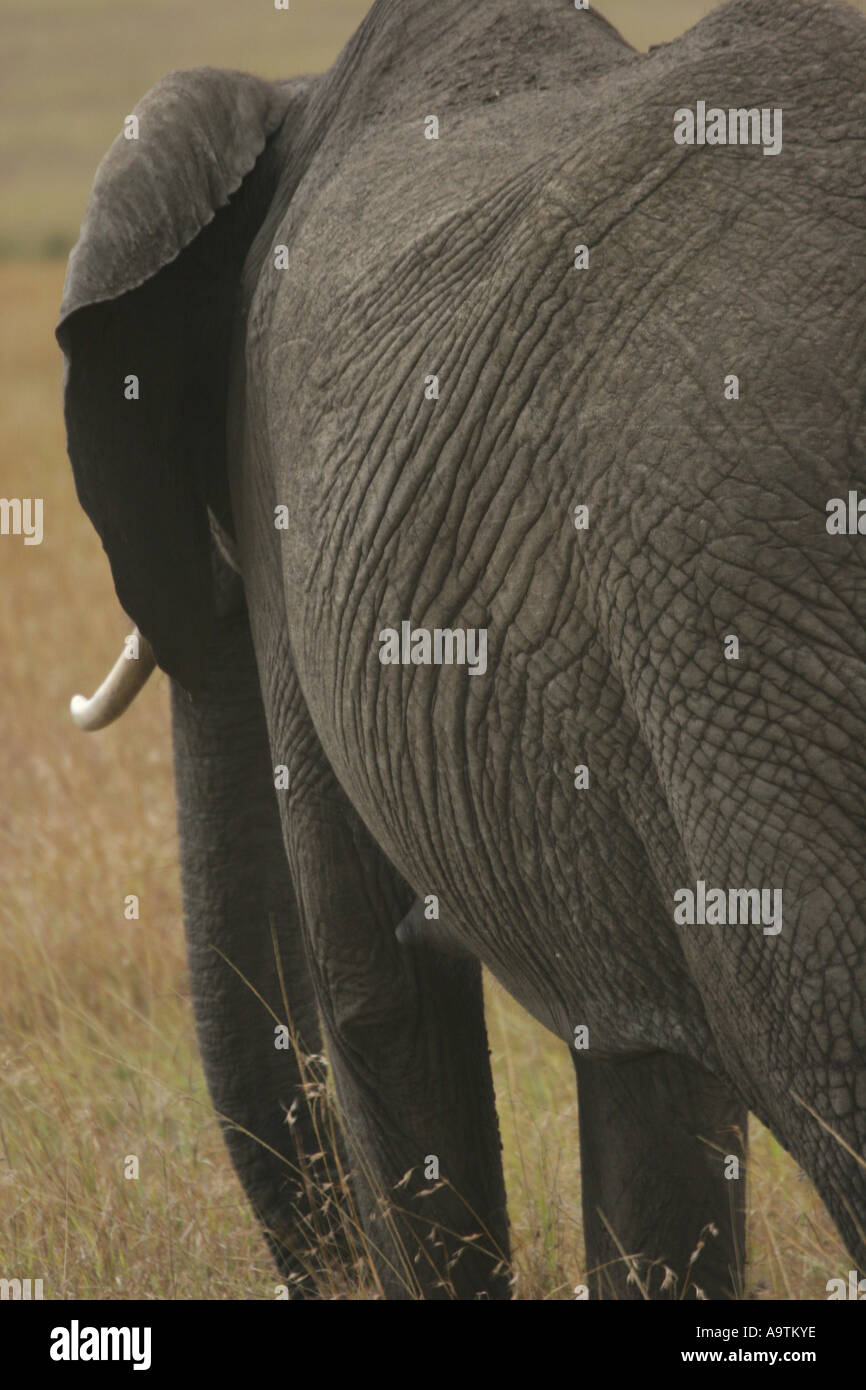 Sideward hi-res stock photography and images - Alamy